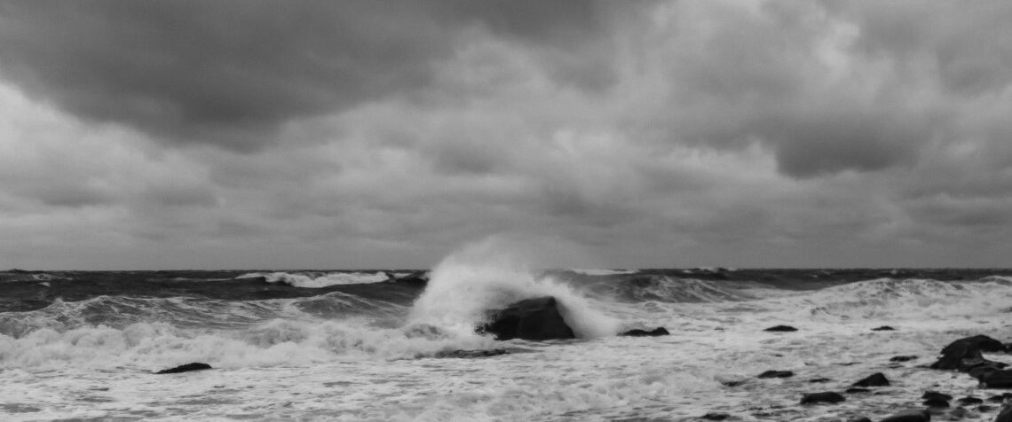 The Value of Adaptability: Surviving in a Storm Tossed Sea - Wander ...